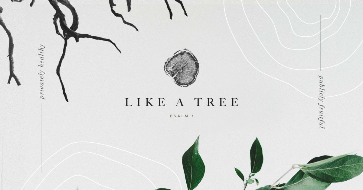 Like a Tree – Chicago Tabernacle